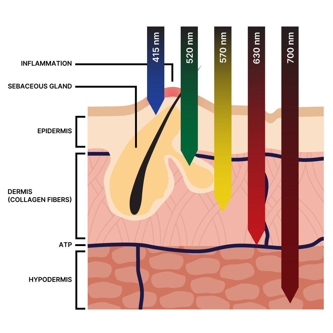 DermForge - Lasting Impressions Medical Spa